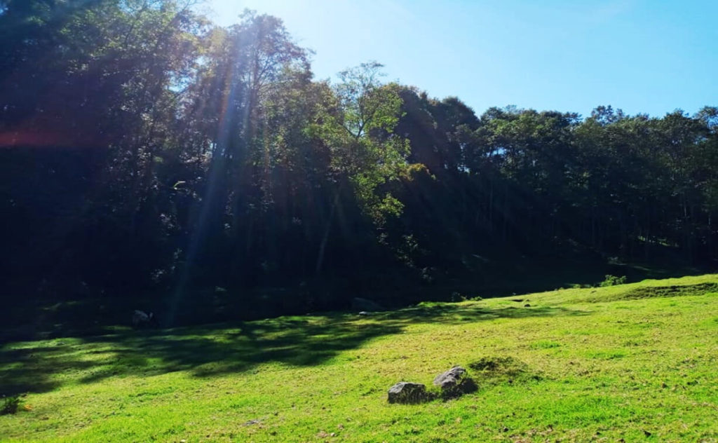 Cerro Miramundo – SIC