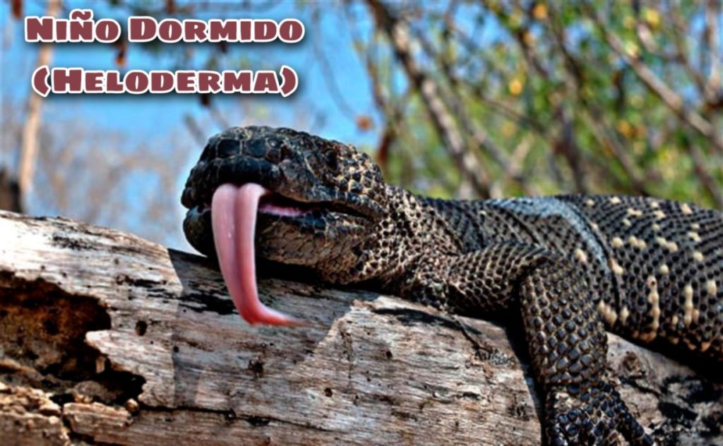 Kaminaljuyu «Cerro de los Muertos» – SIC