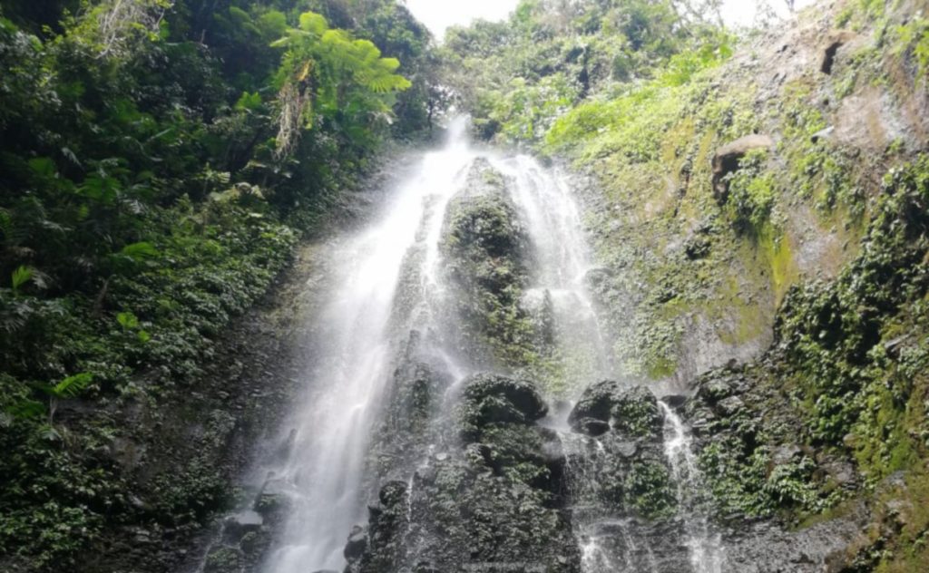 Biotopo Chocón Machacas – SIC