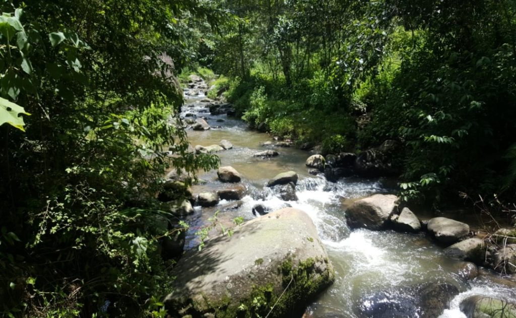 Biotopo Chocón Machacas – SIC