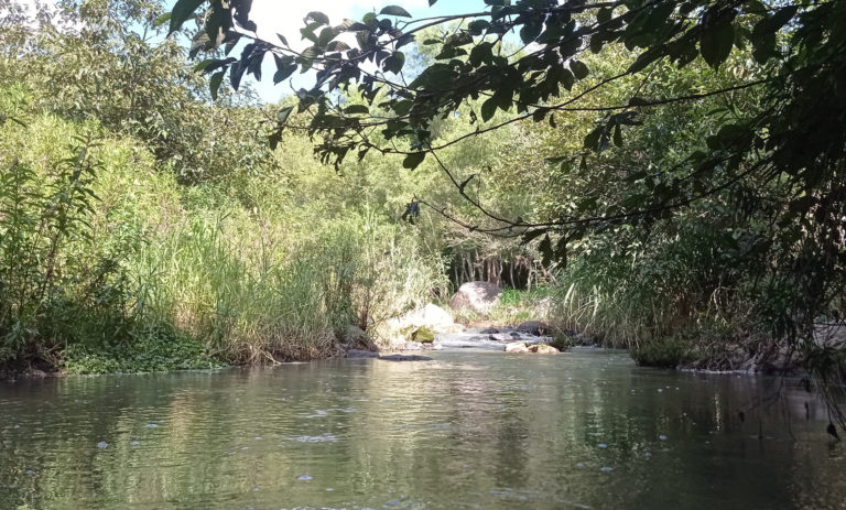 Biotopo Chocón Machacas - SIC