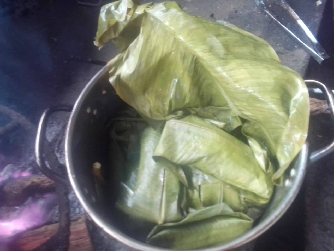 Tamalitos de Chipilín - SIC