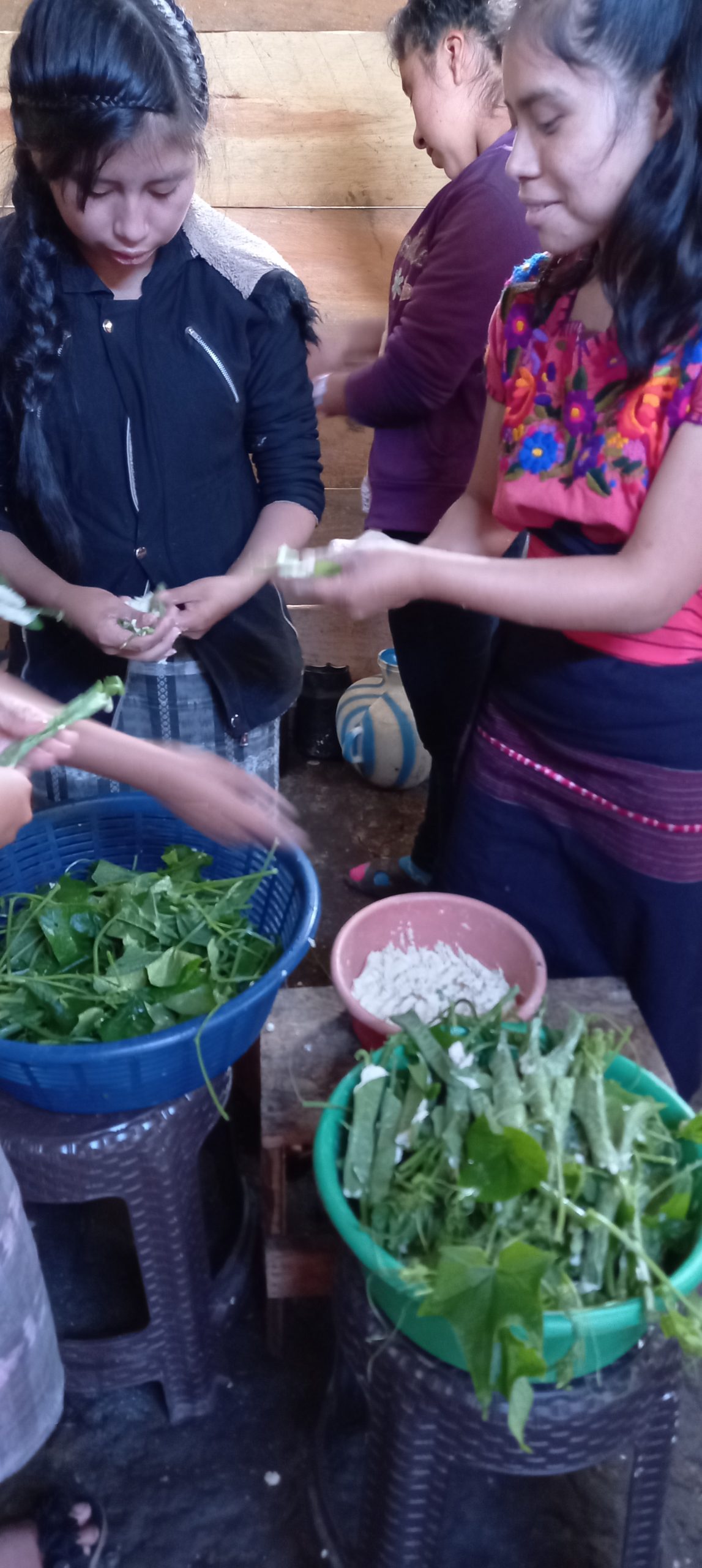 Platillo Típico de Boxboles – SIC