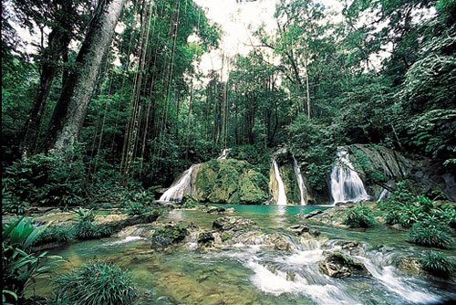 Montañas Mayas Chiquibul – SIC